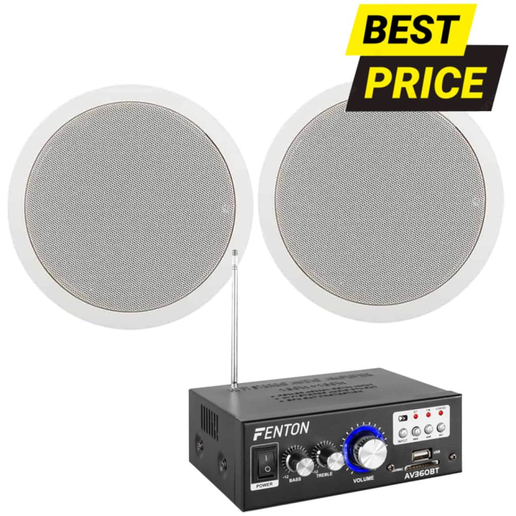 Sisteme audio cu boxe tavan - Noiz.ro - Soluții complete sonorizare