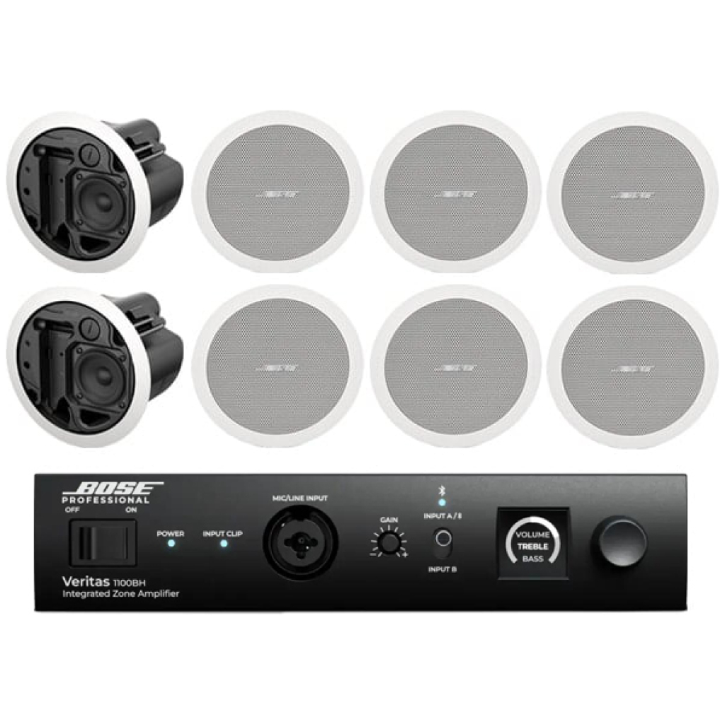 Sisteme audio cu boxe tavan - Noiz.ro - Soluții complete sonorizare